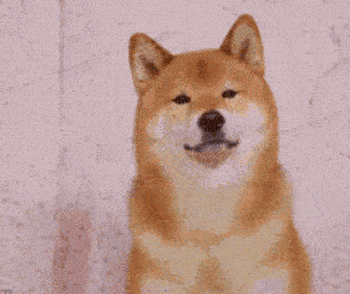 Tapy.me | Link in bio tool